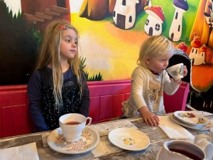Review: Enchanted Tea Rooms, Leamington Spa – Fromthemotherside