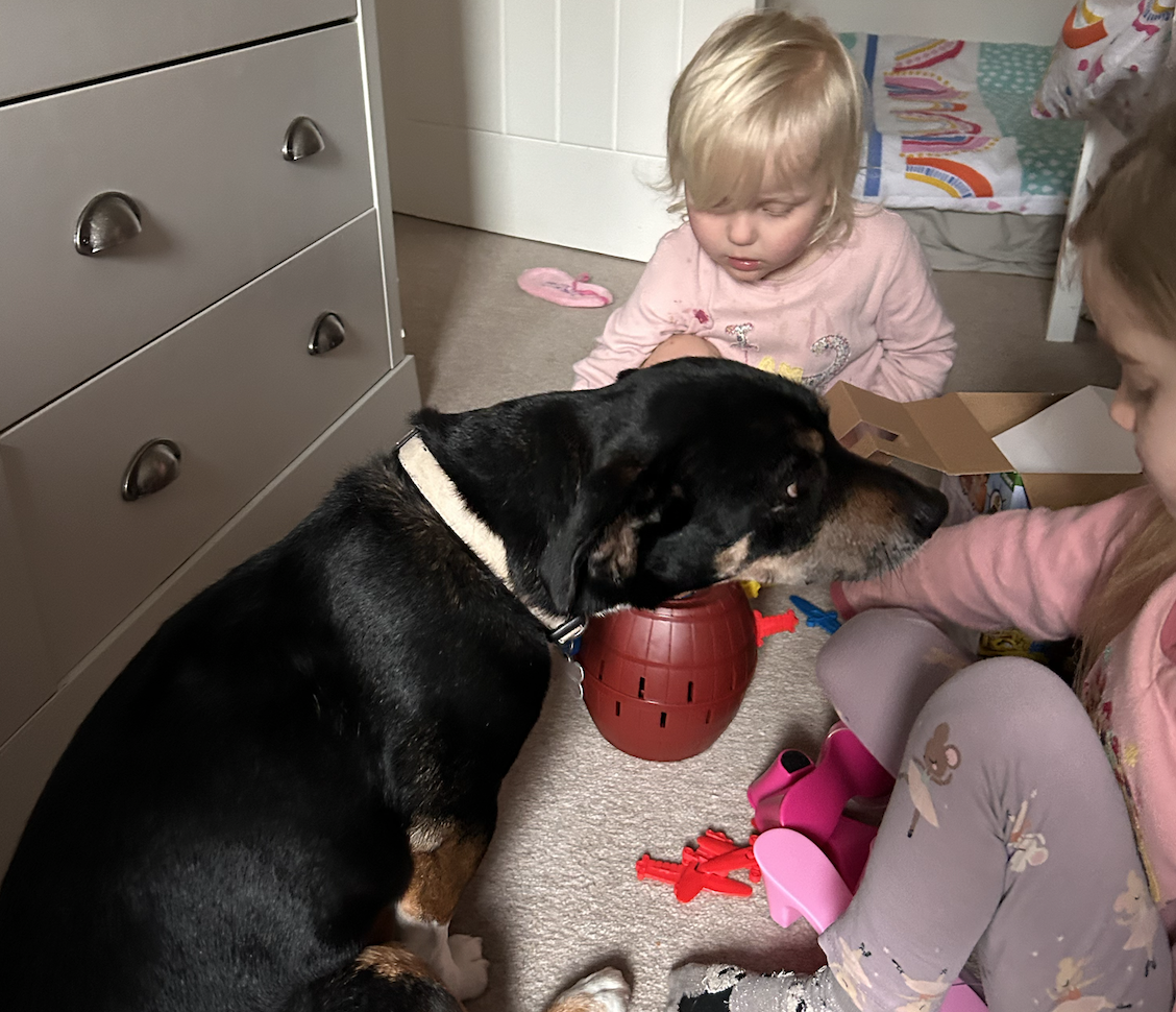 My daily routine with two kids and a dog – Fromthemotherside