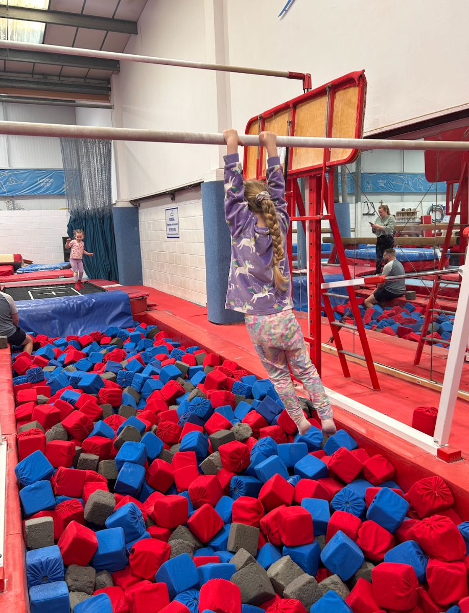 Review: Lynx Gym Toddler Class – Fromthemotherside